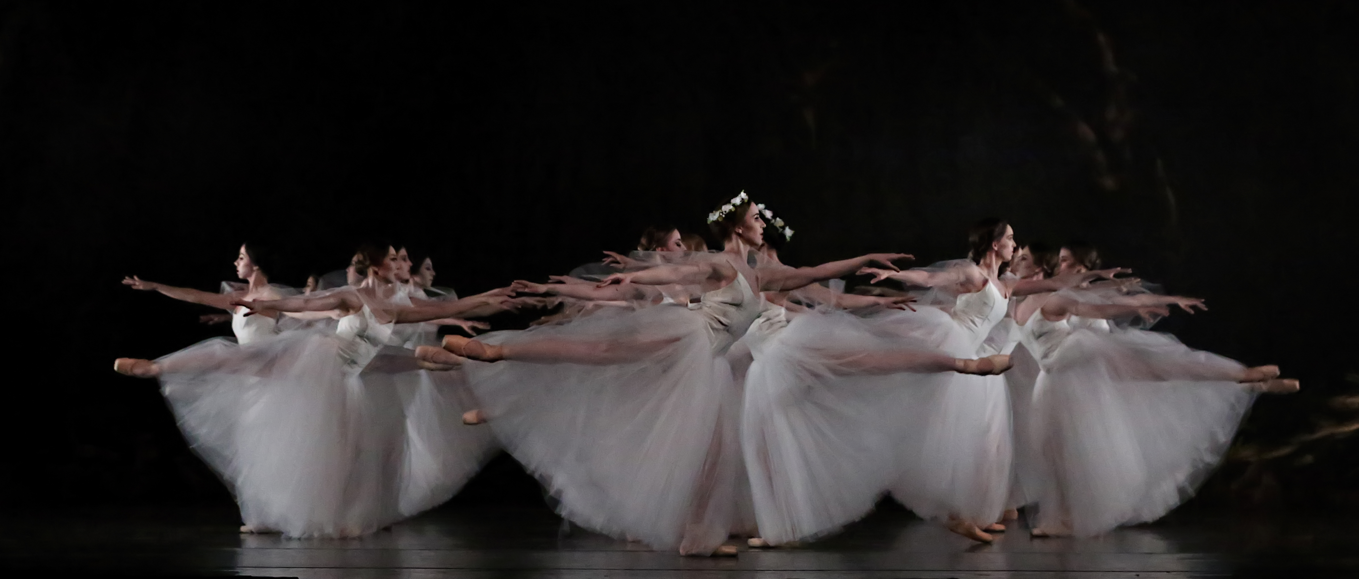 Houston Ballet | Houston Ballet on Tour