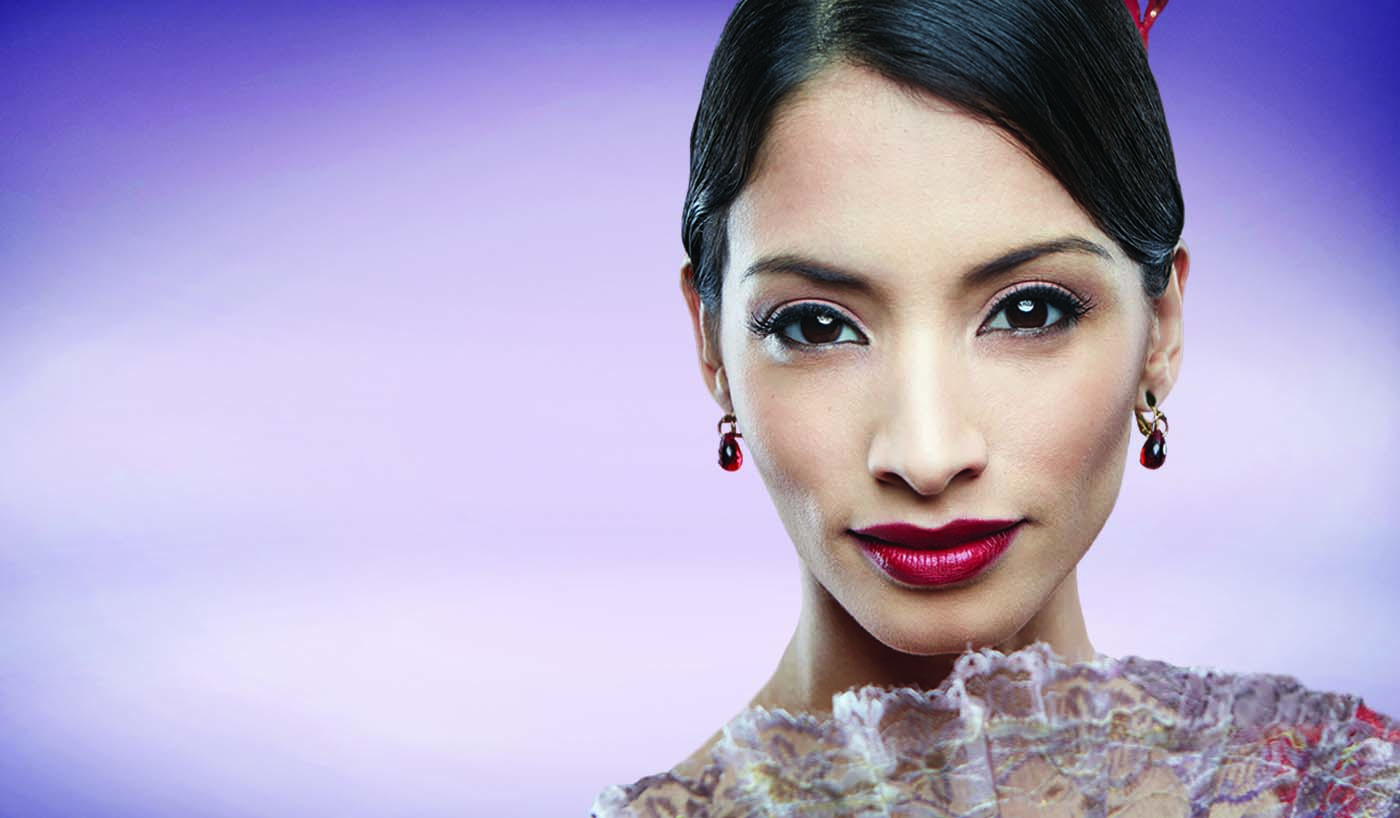 Houston Ballet | Don Quixote