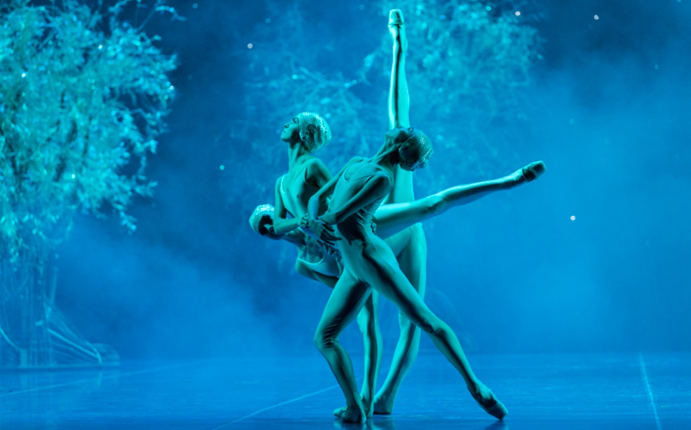 Houston Ballet | My Account